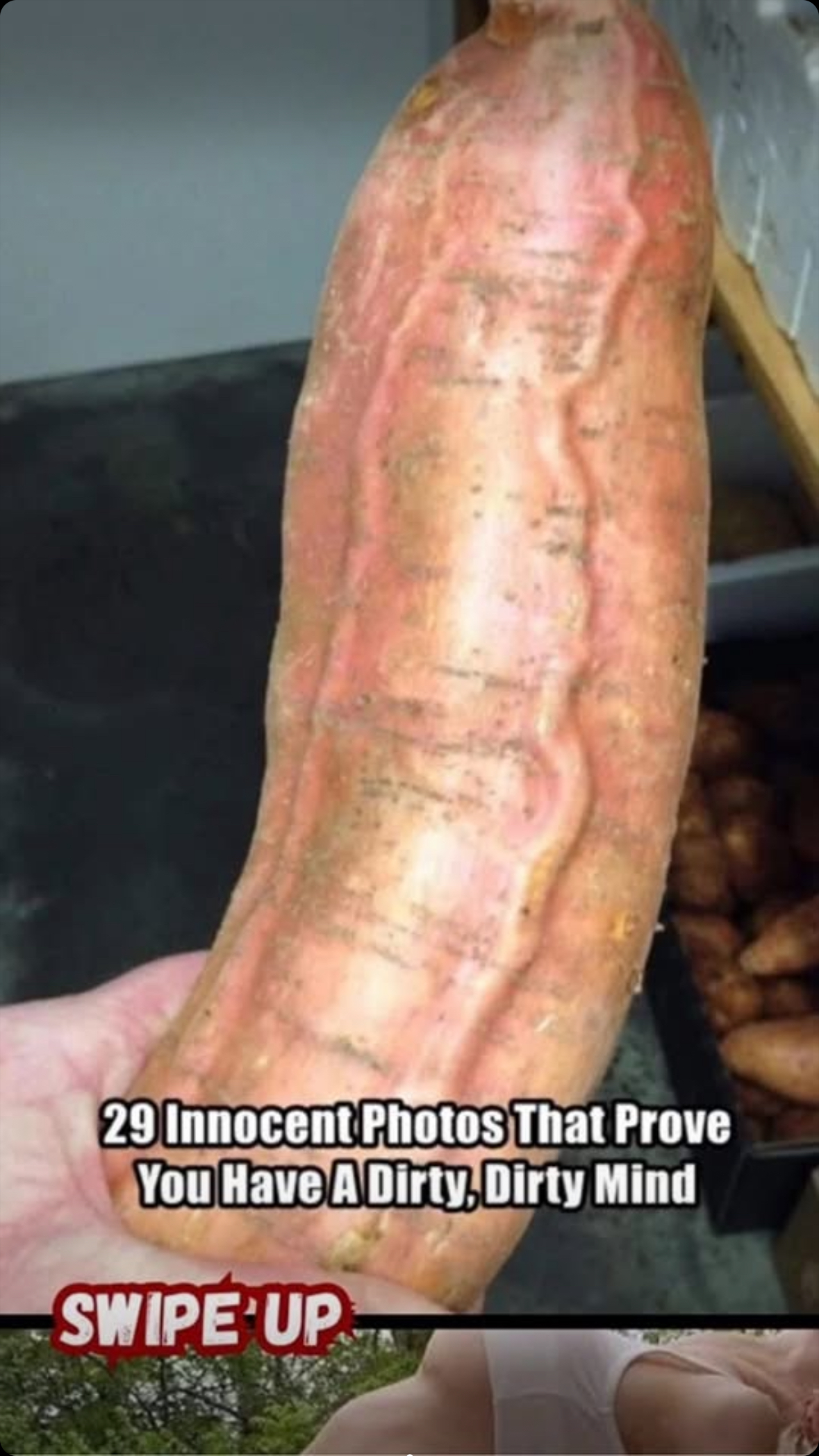 Innocent photos that prove you’ve got a dirty mind – GIANTNEWS