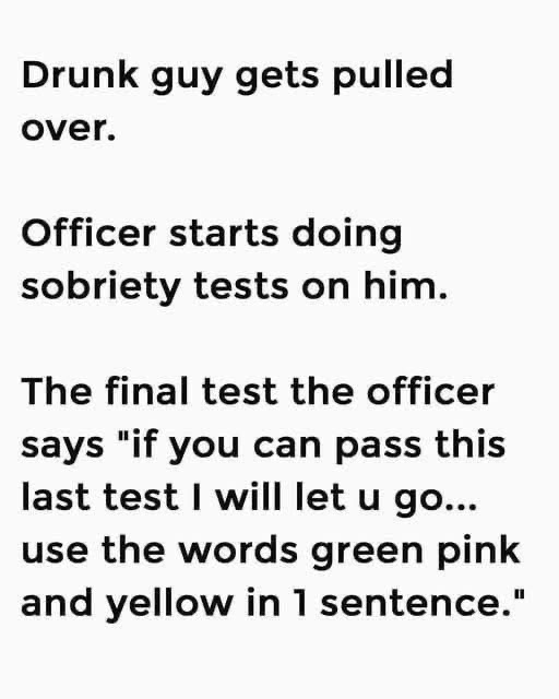 Drunk Guy Gets Pulled Over - GIANTNEWS